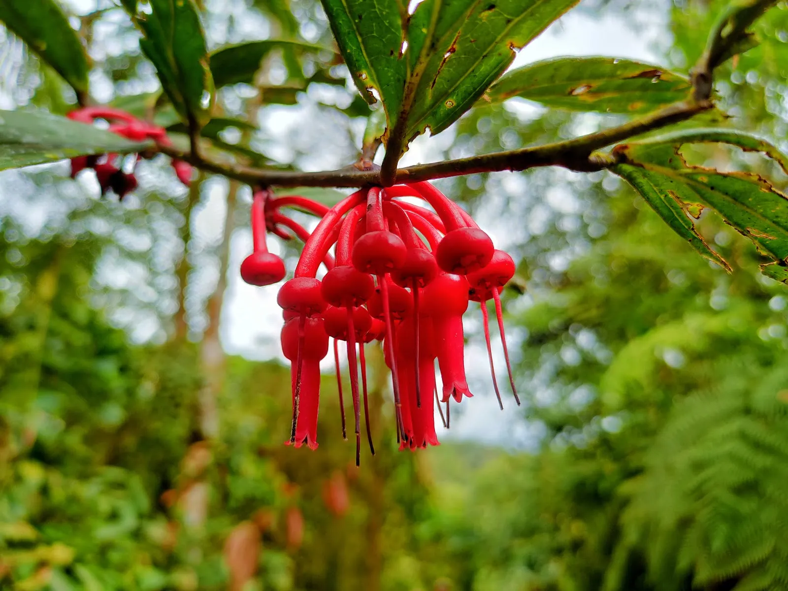 Crime by city in Ecuador 2025